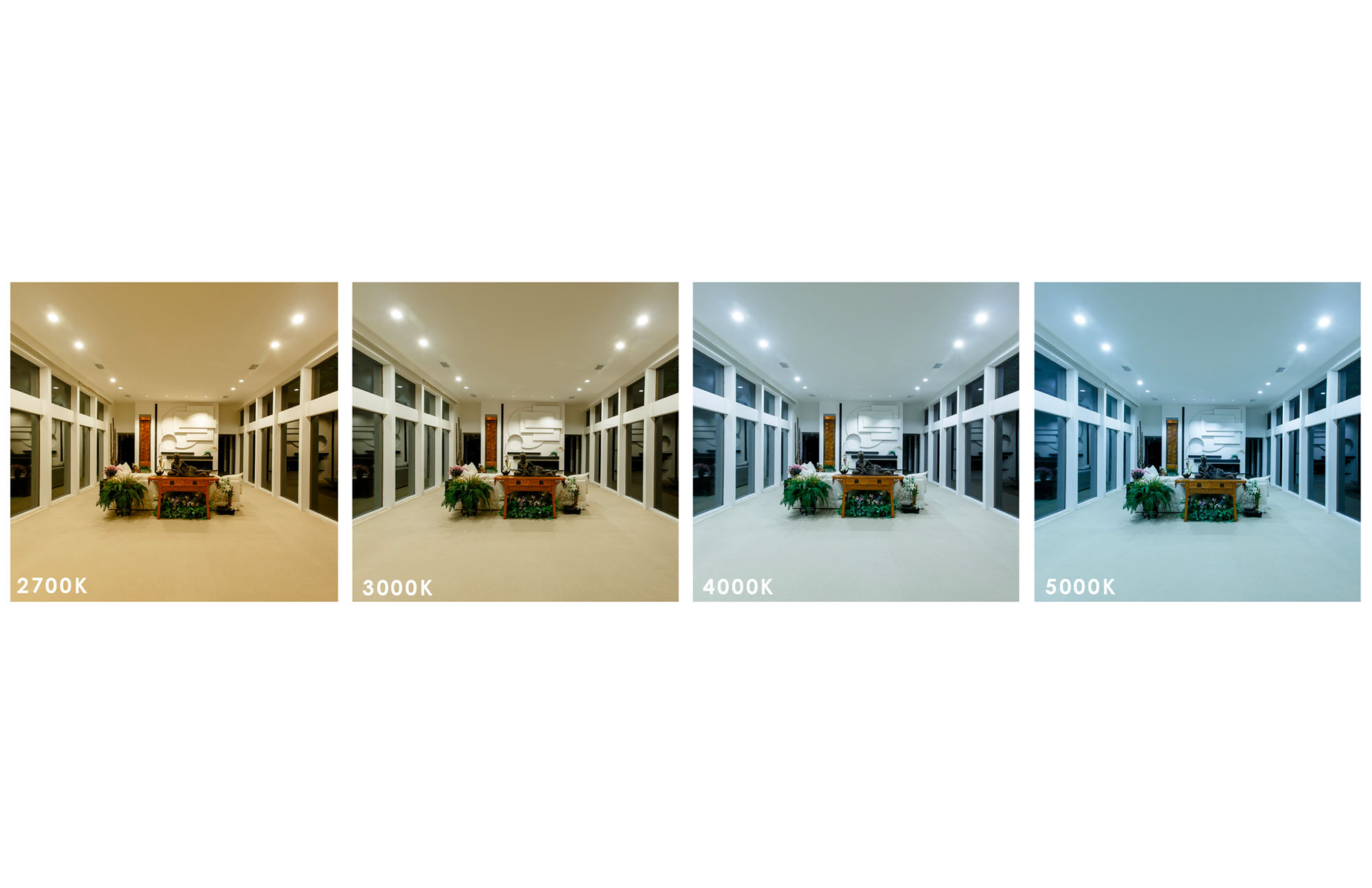 Circadian Rhythm: Lighting and Human Health